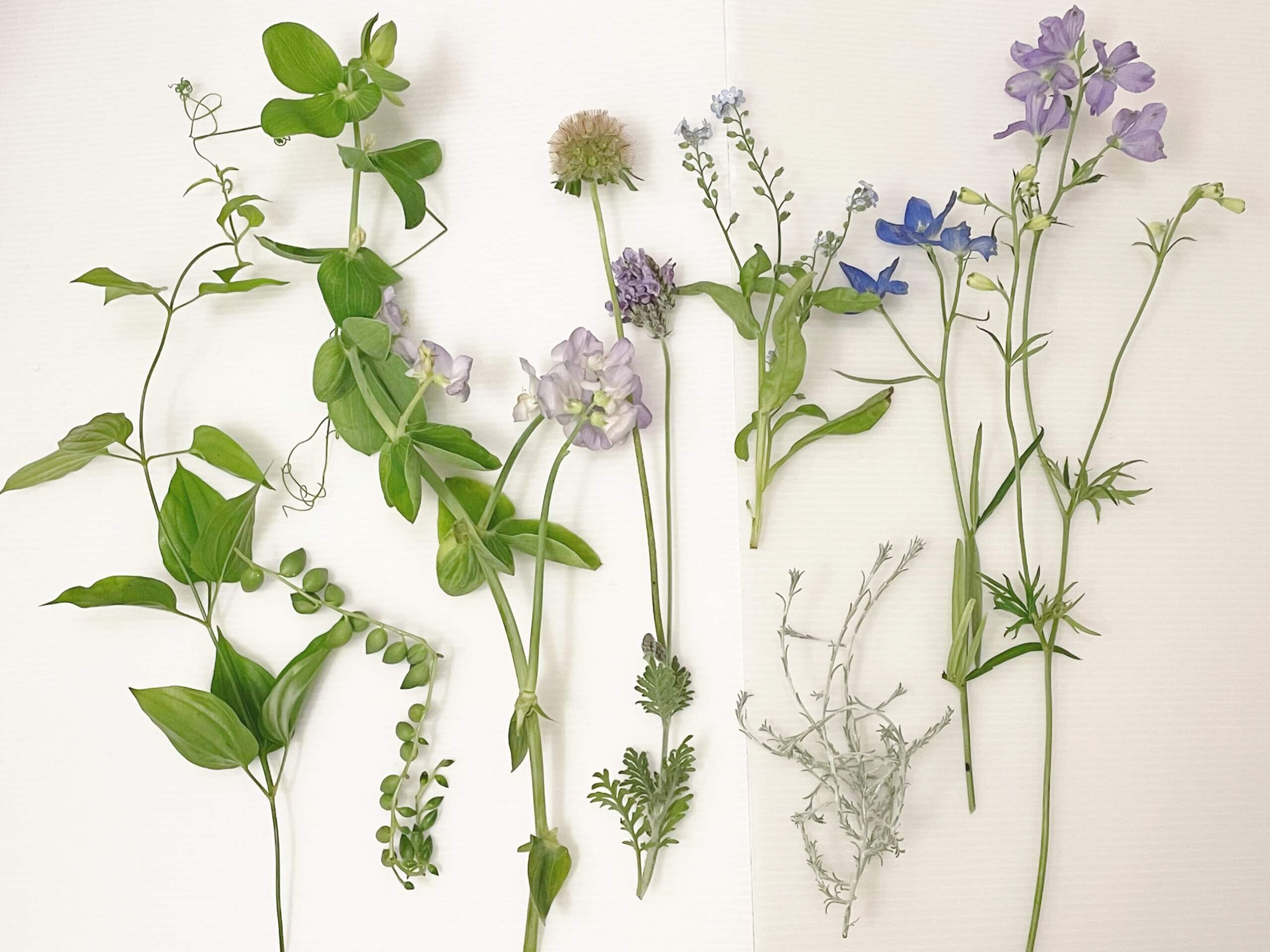 公益社団法人日本フラワーデザイナー協会